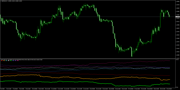 Ku-chart | 通貨強弱 環境認識 インジケーター FX MT4