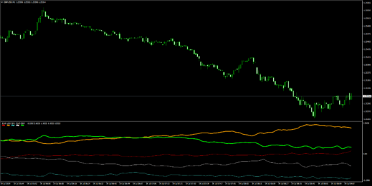 Ku-chart | 通貨強弱 環境認識 インジケーター FX MT4